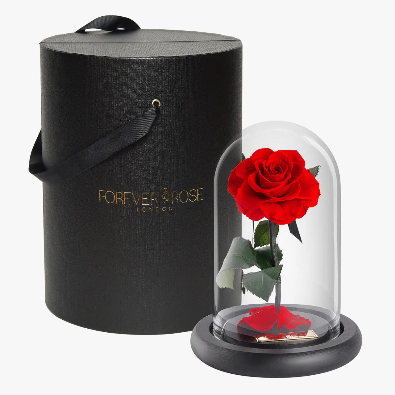 Bella Mini Me – MyForeverRose