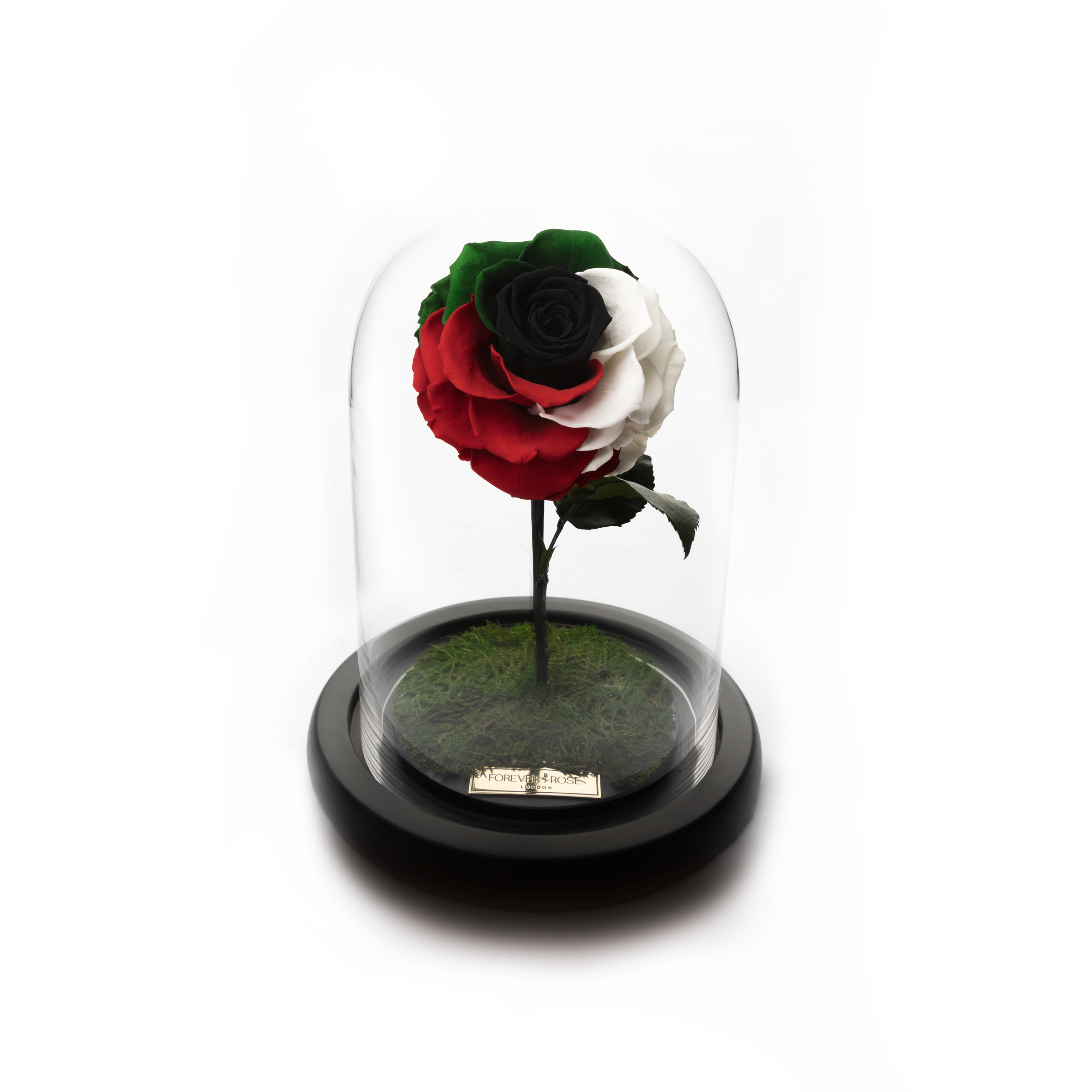 Bella Mini- Flag Rose – MyForeverRose